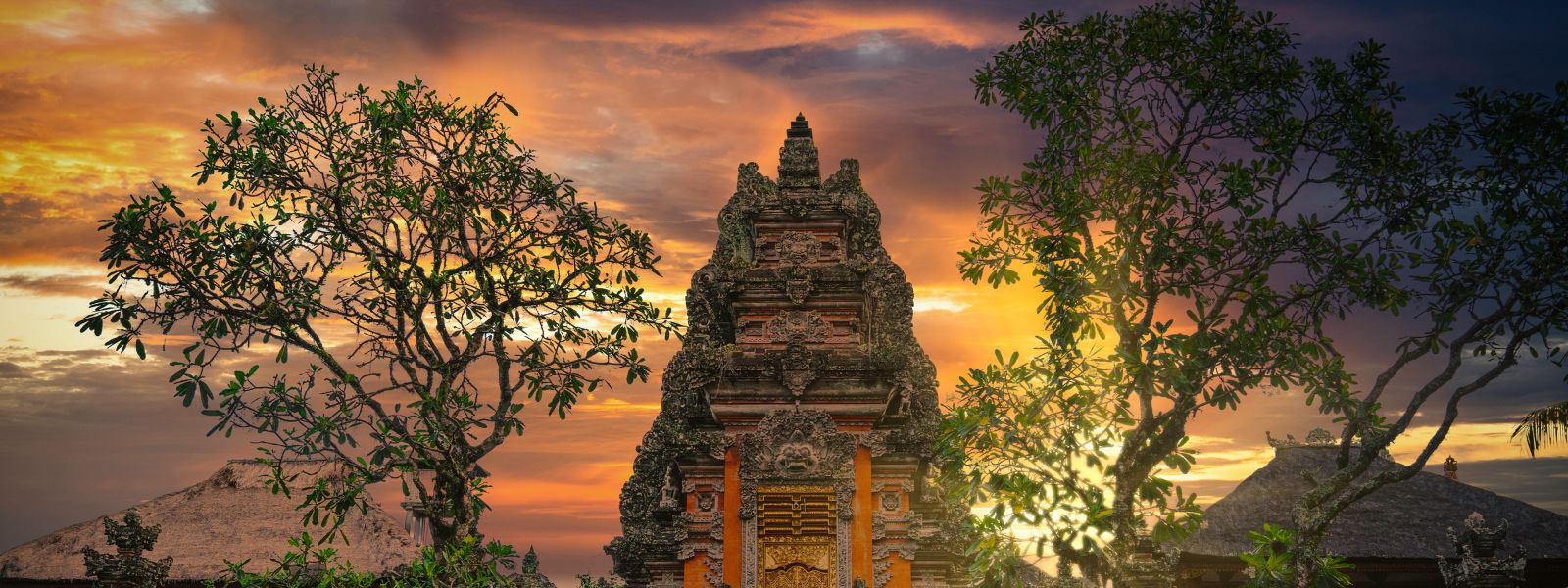 Sanathani ~ The Culture Store